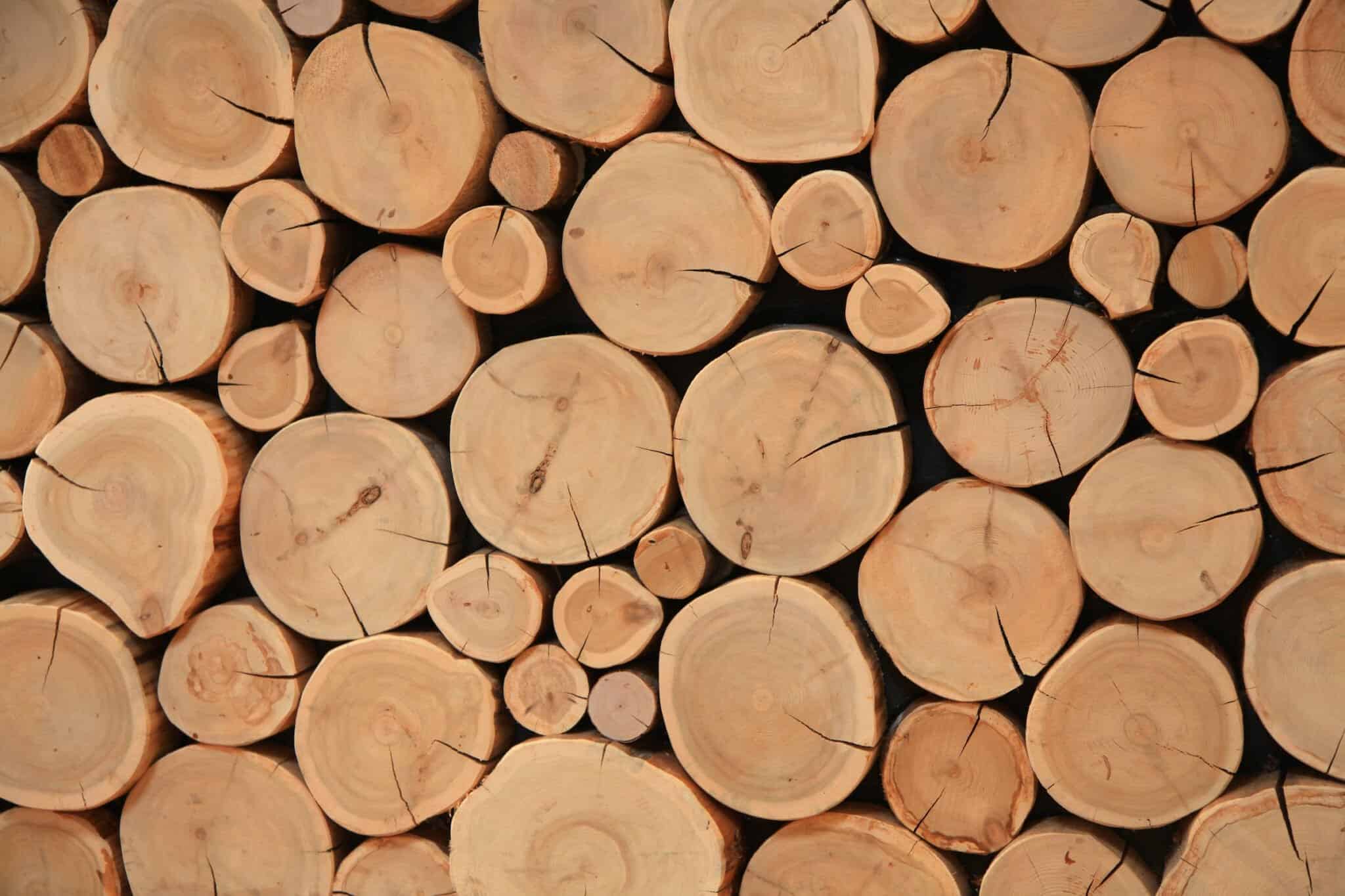 The Canadian Wood Council (CWC) | Building with Wood